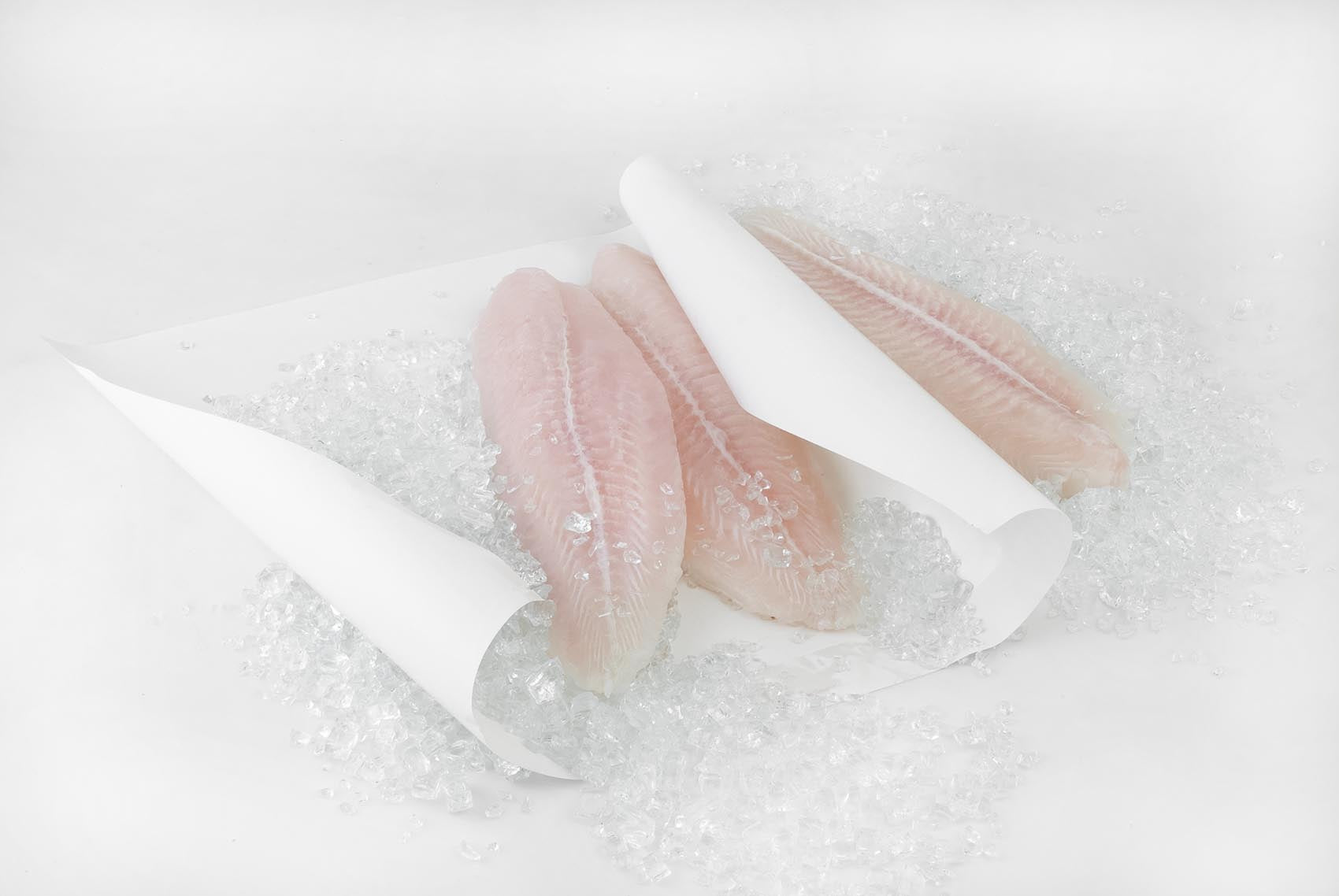 Frozen Fish – tagged "yellowtail" – Pescaluna